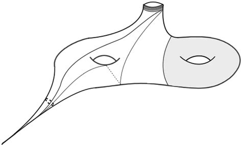 The Hyperbolic Surface Sdocumentclass 12pt Minimal Download