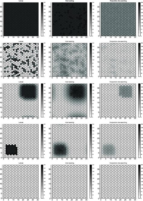 Spatial Population Distribution Of Mosquitoes By Scenario Fig 6 And Download Scientific