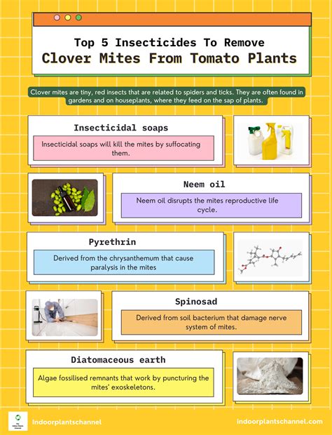 3 Simple Tips For Getting Rid Of Clover Mites On Tomato Plants