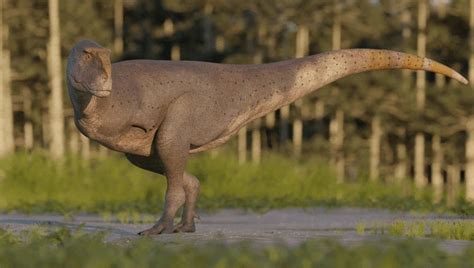 Scoperta Una Nuova Specie Di Dinosauro Con Le Corna è Stato Dedicato