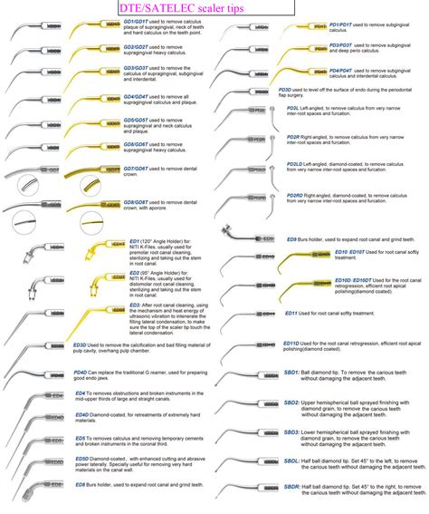Different Types Of Scalers In Dentistry At Daniel Bohanan Blog
