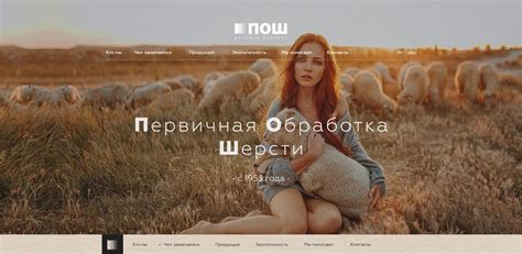 Разработка сайта фабрики по обработке шерстки ПОШ
