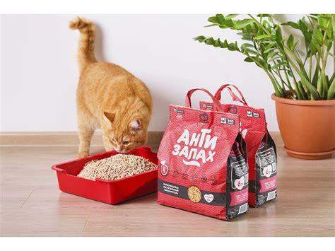 Антизапах наполнитель для кошачьего туалета комкующийся растительный 6 л купить на Ozon по