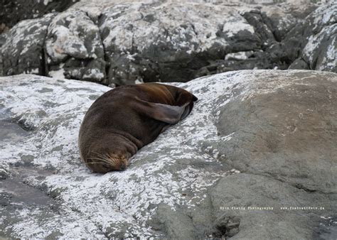 Ohau Point Neuseeland › Freizeitfoto