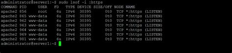 linux lsof command tutorial for beginners 15 examples