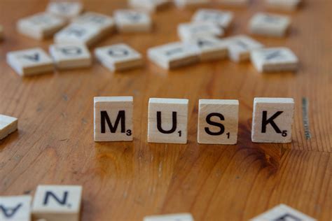 Image Of Elon Musk Photos Download The Best Free Image Of Elon Musk