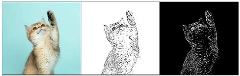 OpenCV フィルタ処理で画像のノイズを低減する方法すらぷろ