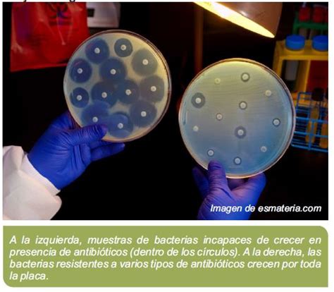 ¡el Mal Uso De AntibiÓticos Genera Resistencia