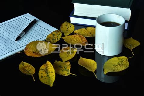 가을 낙엽 단풍 노랑색 책 사진이미지일러스트캘리그라피 깨비선생작가