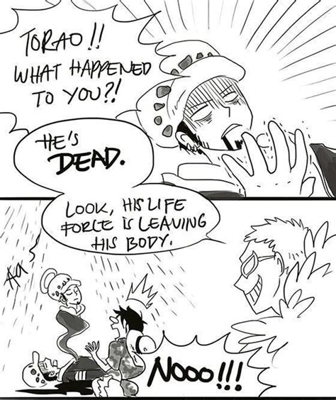 My Personal Collection Of One Piece Memes Ships And More More Lawlu