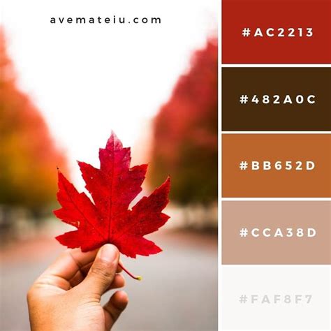 New Color Pallete On Color Palette 49🎨 Avemateiucolors