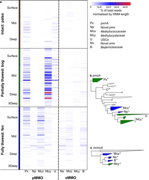 Methanotrophy Across A Natural Permafrost Thaw Environment Abstract Europe Pmc