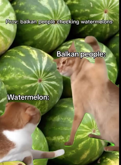 Knock Knock Album On Imgur