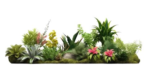 Garden Plants Pngs For Free Download