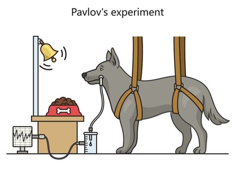 Premio Nobel Ivan Pavlov 16 Pavlov Ivan Stock Vectors And Vector Art