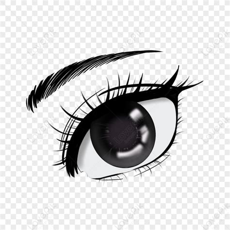 흑인과 백인 눈 일러스트 일러스트썹 클립 아트 검은 하얀 Png 일러스트 무료 다운로드 Lovepik