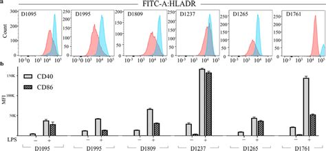 Increase Of HLA DR CD40 And CD86 At The Plasma Membrane Confirms DC