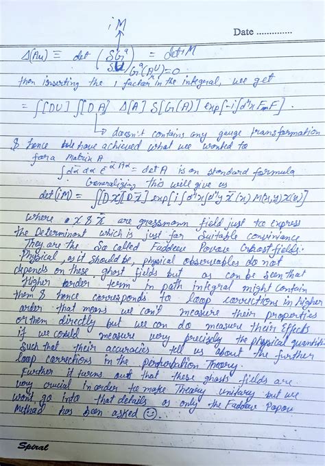 Making Sense Of The Path Integral For Gauge Fields Quantum Gravitation Astrophysics Lab