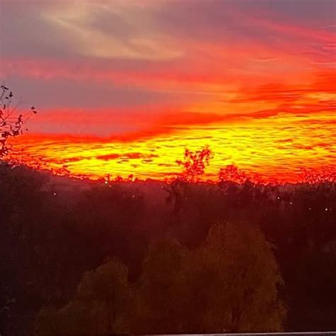 Lanier Williams Lanierwilliams • Threads Say More