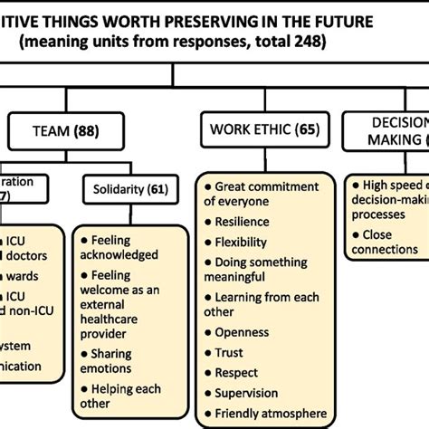 Categorization Of Answers To The Open Question ‘what Positive Things