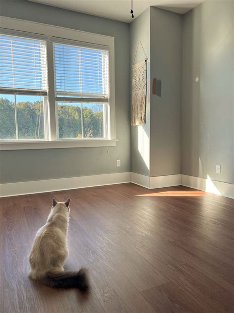 How To Install Vinyl Plank Flooring Step By Step Artofit