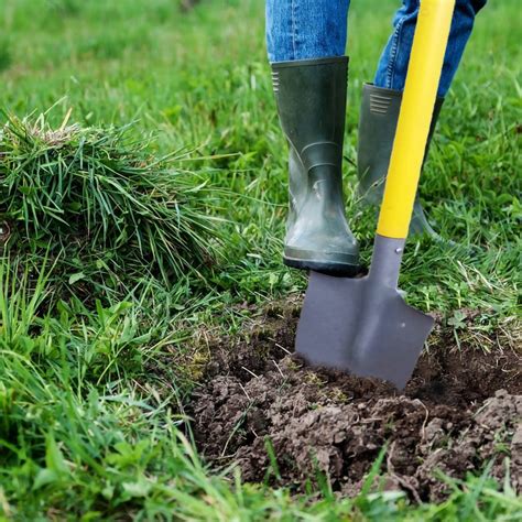 Mini D Handle Shovel Belcha Garden And Utility Spade Implemental