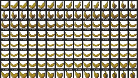 How To Perform Fruit Classification With Deep Learning In Keras