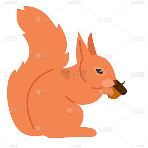 插图可爱的松鼠吃坚果在秋天的背景