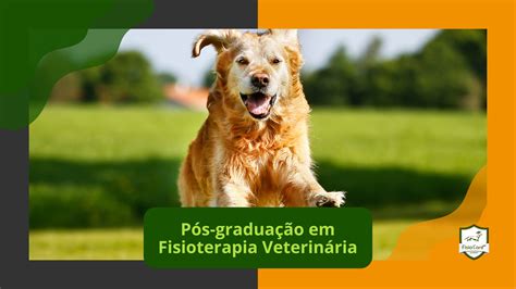 Pós Graduação Em Fisioterapia Veterinária Fisio Care Pet Centros De