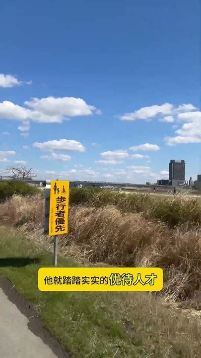 日本生活 弯道超车透过现象看本质 日本人太笨了，连弯道超车都学不会 Youtube