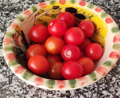 Look At All The Tiny Tomatoes R Vegetablegardening