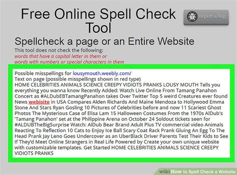 How To Spell Check A Website 15 Steps With Pictures WikiHow
