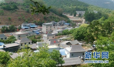 從青年幹部到村長繪就美麗鄉村 每日頭條