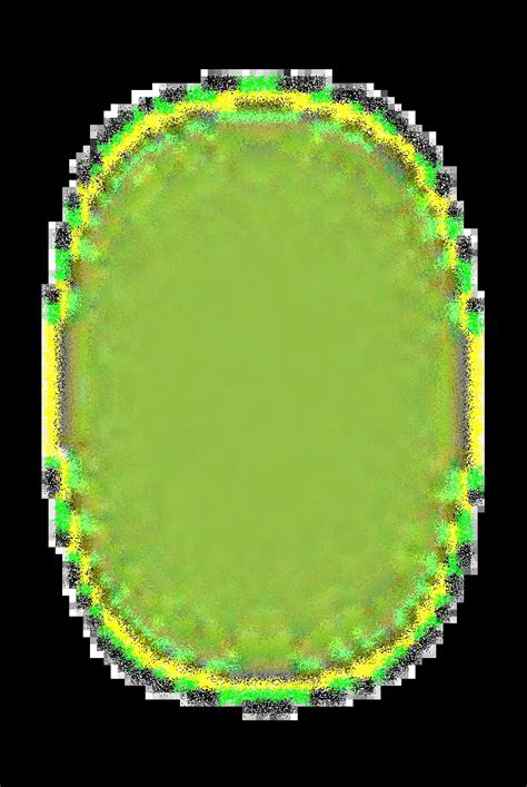 Shopyflow Shopify ⇔ Webflow Integration Shopyflow Shopify ⇔ Webflow Integration