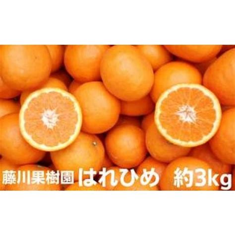 ふるさと納税 果物類 みかん 香川県 宇多津町 はれひめ 約3kg 6034885 ふるさとチョイス 通販 Yahooショッピング