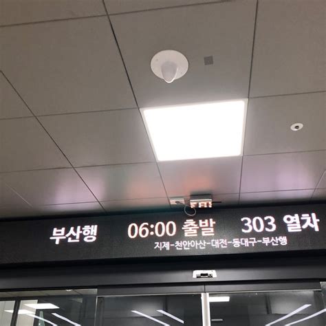 코딩 배워 투자하자 부산 강의하러 가는 코배투는 감기에 걸려서 콧물을 주체할 수 없습니다 🤧