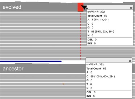 Align And Visualize Sequencing Data Yevo
