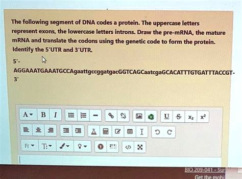 SOLVED The Following Segment Of DNA Codes A Protein The Uppercase Letters Represent Exons The