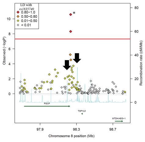Cochran Mantel Haenszel Test Results For Snp Association To Migraine Download Scientific