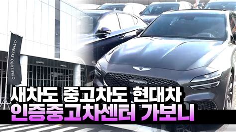 새차도 중고차도 현대차 양산 인증중고차센터 가보니 Youtube