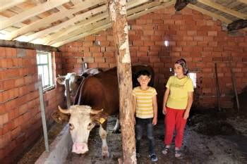 KütahyaDa Orman Köylüsüne 14 Milyon Tl Kredi Desteği Eskişehir