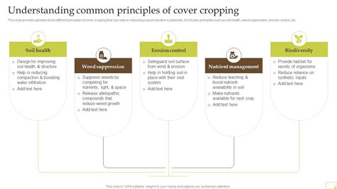Understanding Common Principles Of Cover Cropping Complete Guide Of