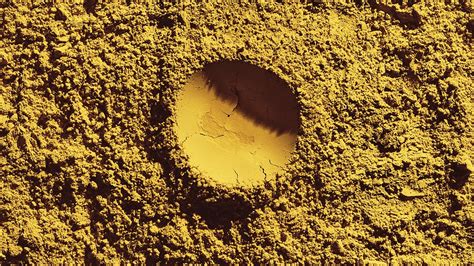 Finnish Start Up Creates Revolutionary Protein Made From Thin Air