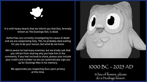 Duolingos Owl Passes On Investigations Ongoing Marketing Interactive