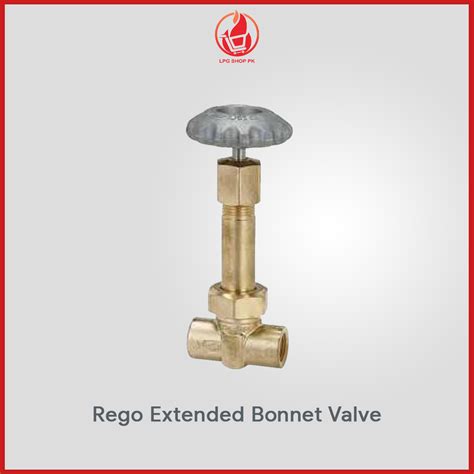 Rego Extended Bonnet Valve Best Lpg Fabrication Engineering Company