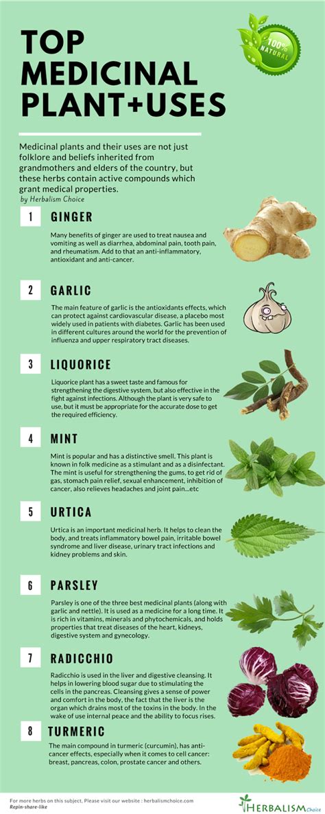 List Of Herbs And Their Uses Printable Helen E Pape