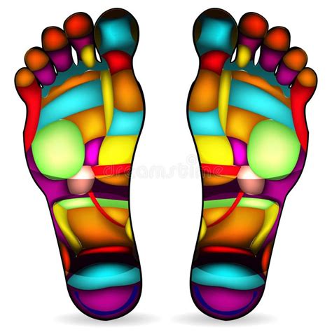 Foot Massage Stock Illustrations 7979 Foot Massage Stock Illustrations Vectors And Clipart