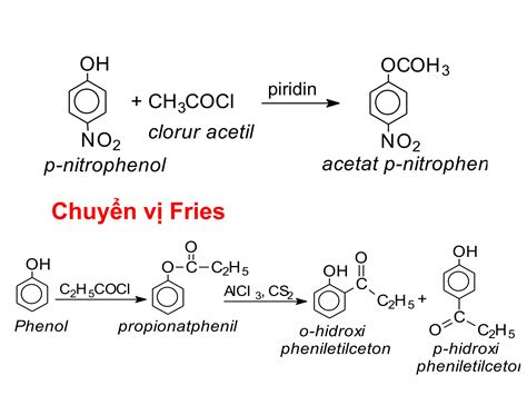 Phenol Ppt