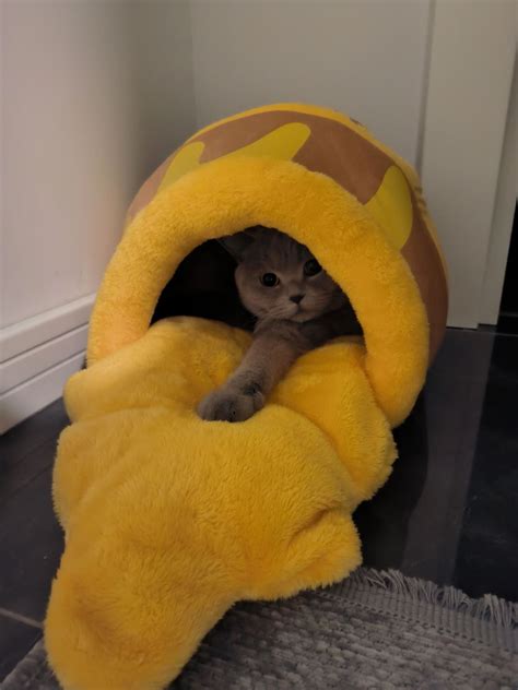 Bugra Ozdemir On Linkedin Saying Hello