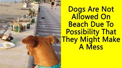 Times People Captured Hilariously Ironic Moments YouTube